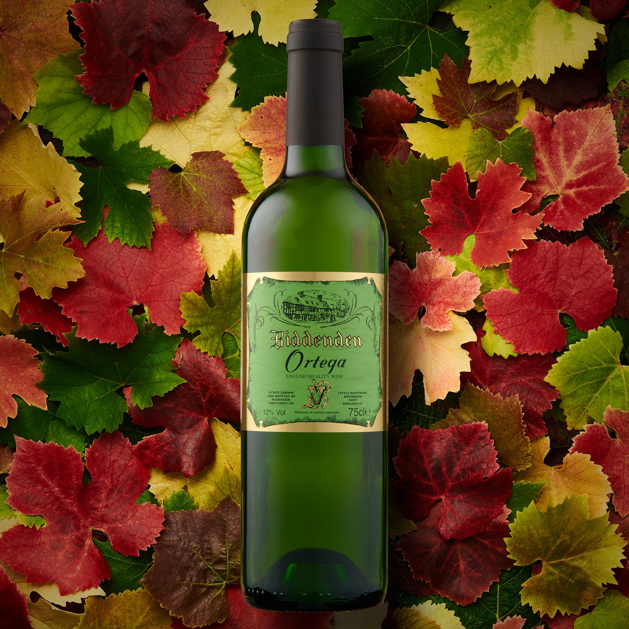 Biddenden Ortega 2023 – Biddenden Vineyards